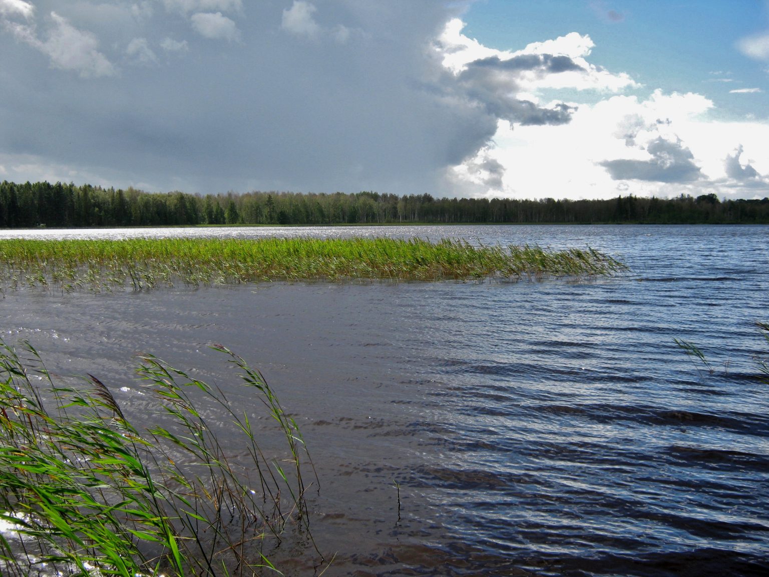 Svētes ezers – Zebrenes pagasts, Dobeles novads - Ceļveži.lv