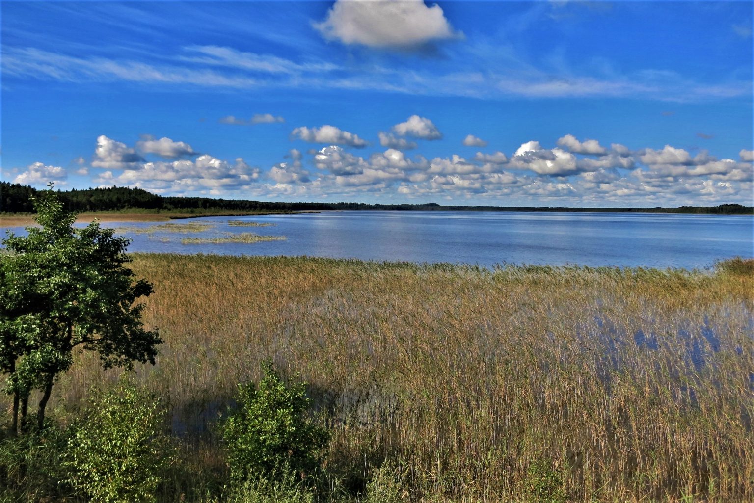 Zebrus ezers - Bikstu pagasts, Dobeles novads - Ceļveži.lv