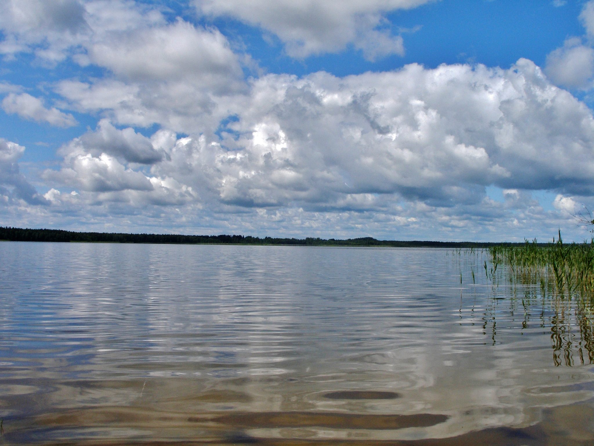 Zebrus ezers - Bikstu pagasts, Dobeles novads - Ceļveži.lv
