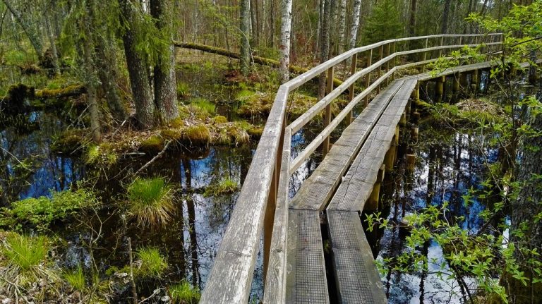 Oleru purva taka un Oleru muiža – Jeru pagasts, Rūjienas novads ...