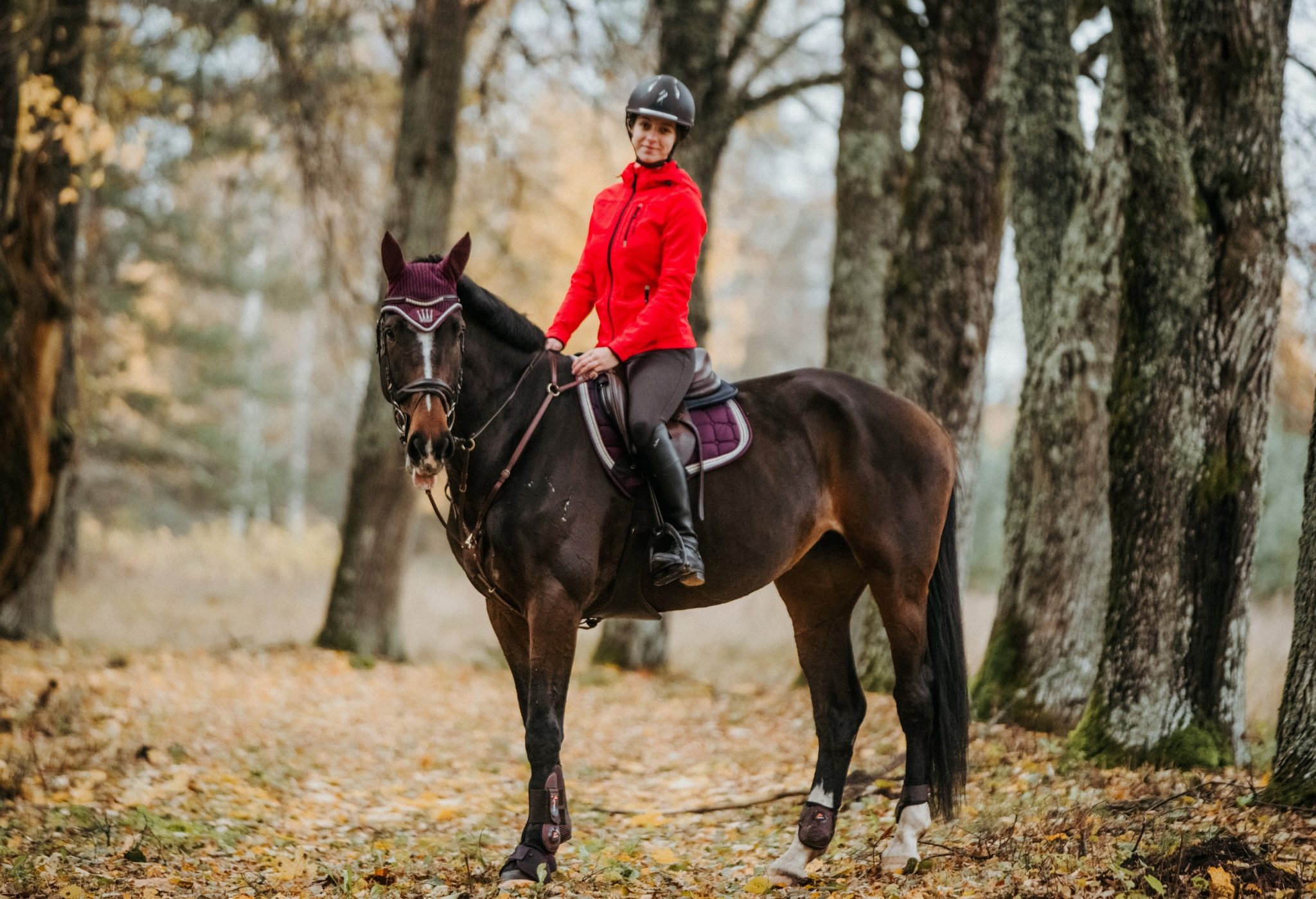 Zirgu stallis “Grantiņi 1” - Rankas pagasts, Gulbenes novads - Ceļveži.lv