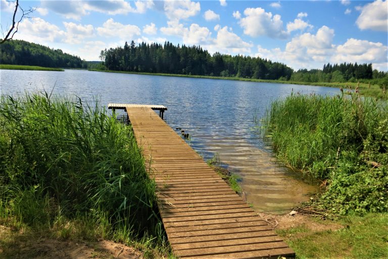 Sesavas ezers – Īles pagasts, Dobeles novads - Ceļveži.lv