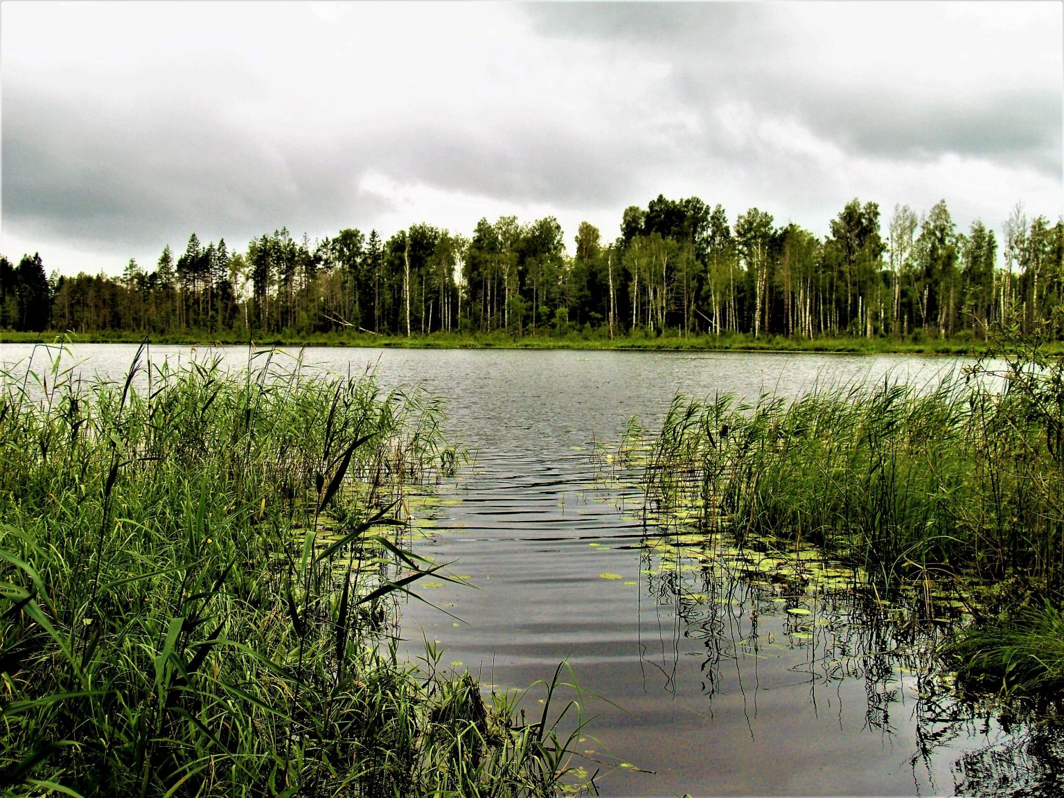 Ružas ezers – Īles pagasts, Dobeles novads - Ceļveži.lv